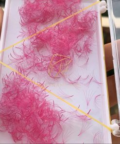 PREMADE FANS LASHES - COLOR LOOSE FANS - Vietnam Lash