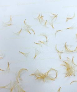 PREMADE LOOSE FANS - Vietnam Lash Factory