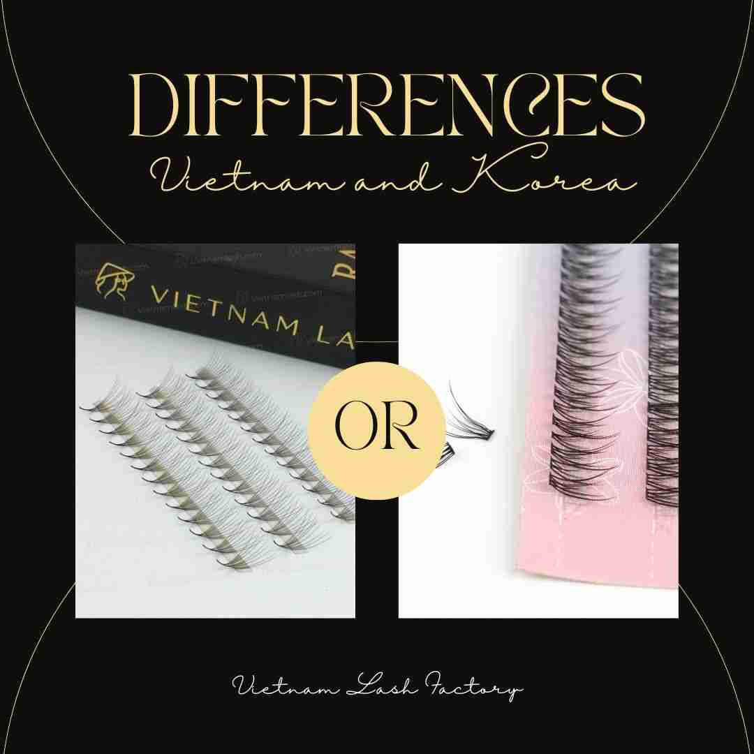 The striking differences between Vietnam Lash and Korea Lash