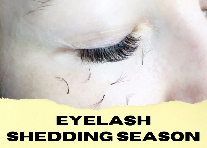Eyelash shedding season. Is this right?