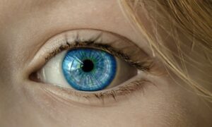 What Are Round Eyes - Let’s Learn About Your Eye Shape