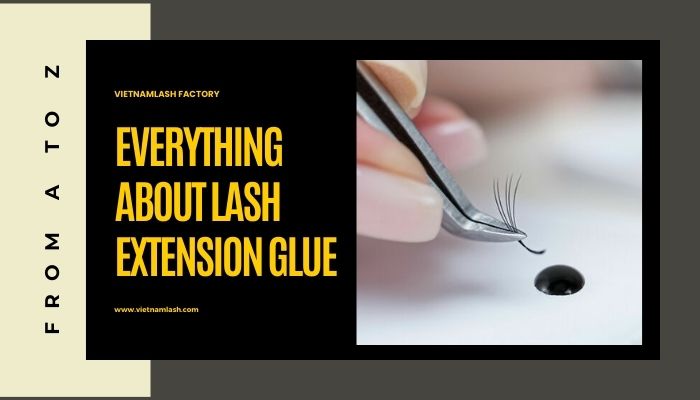 Lash extension glue A to Z: Everything You Need to Know