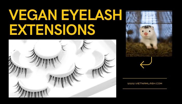 Vegan eyelash extensions: a new footstep in beauty industry Vegan eyelash extensions: a new footstep in beauty industry