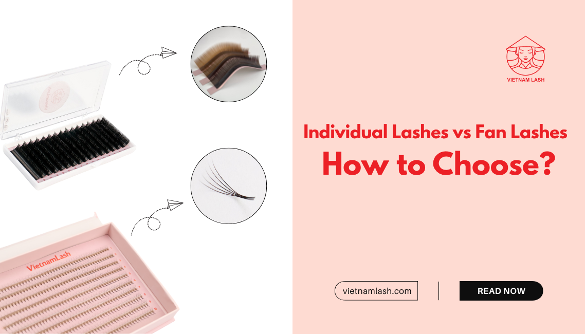 Individual Lashes vs Fan Lashes: How to Choose? - VietnamLash