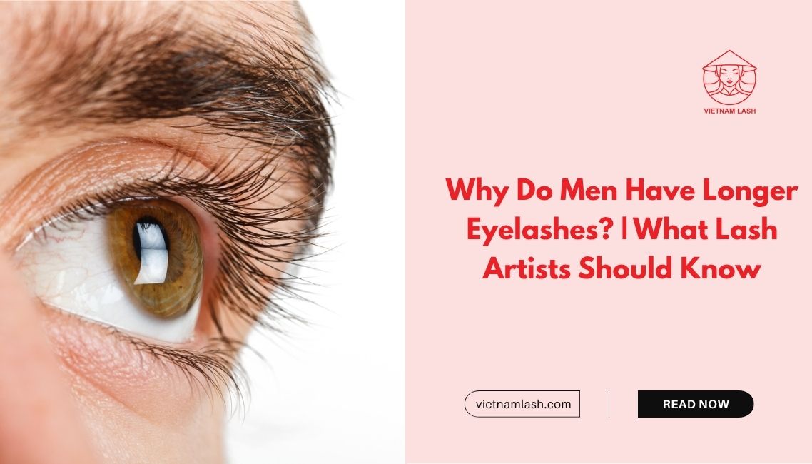 Why Do Men Have Longer Eyelashes?